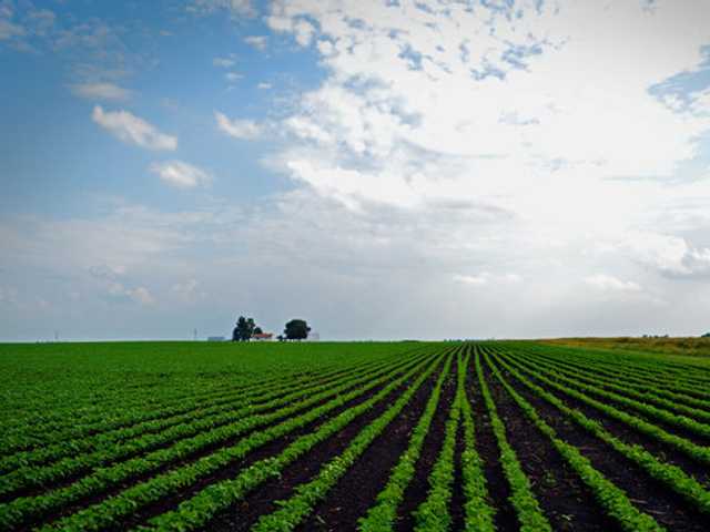 Welcome | Peakopia Produce