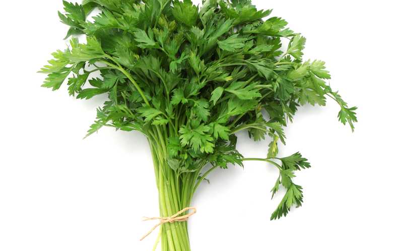 Produce | Peakopia Produce