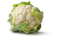 Produce | Peakopia Produce