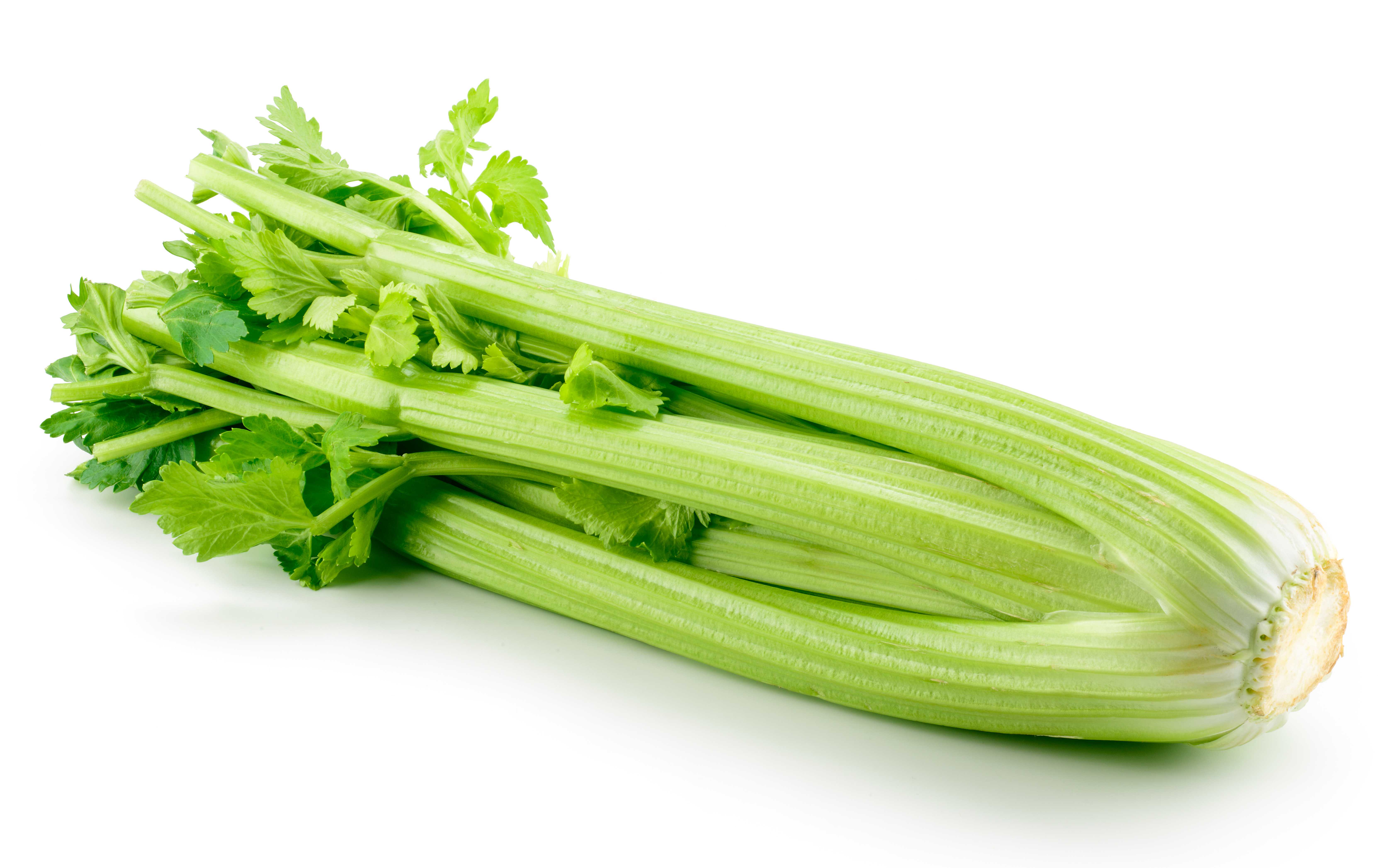 Produce | Peakopia Produce