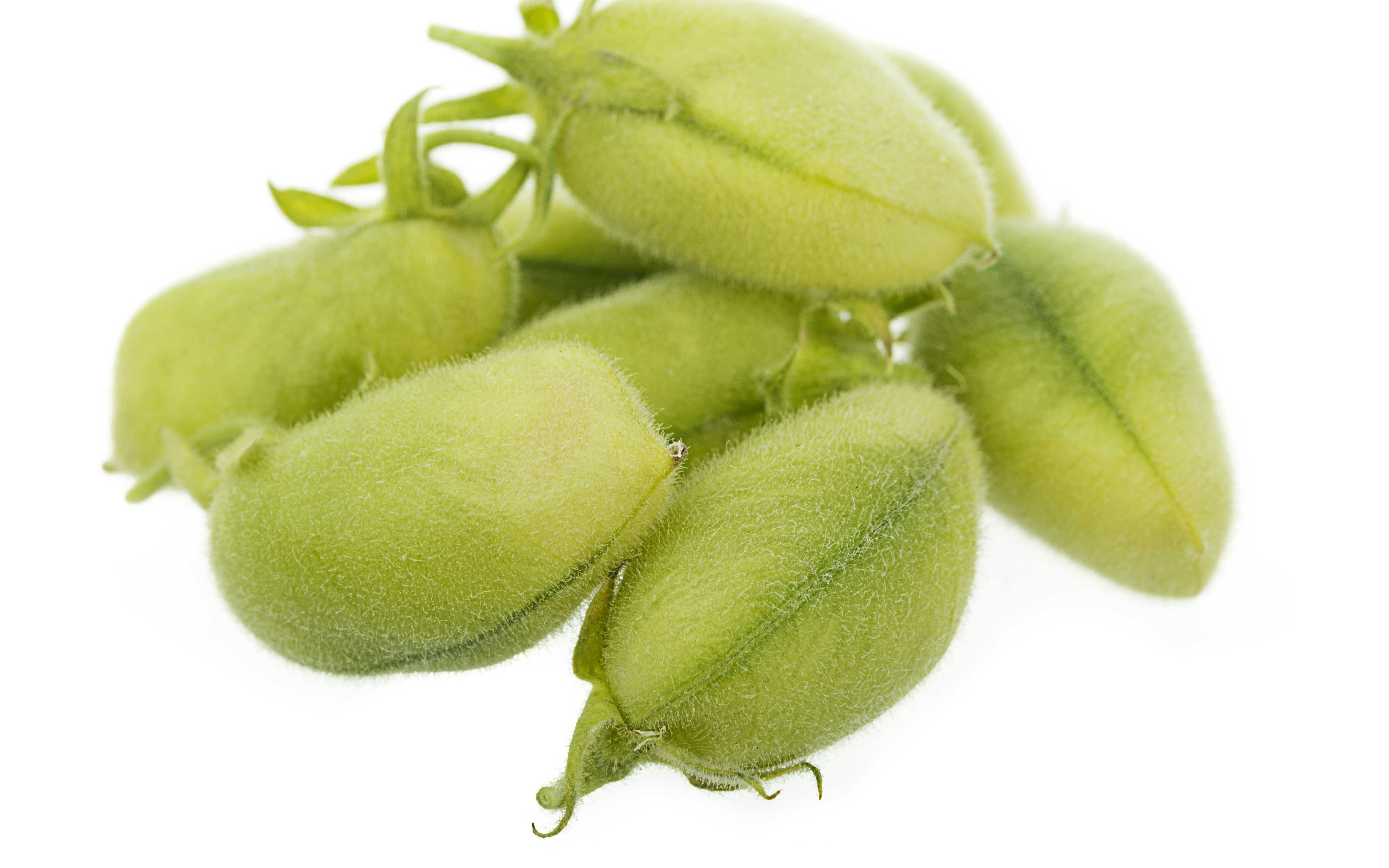 Produce | Peakopia Produce