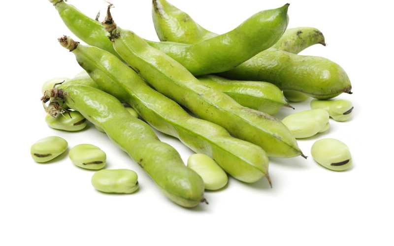 Produce | Peakopia Produce