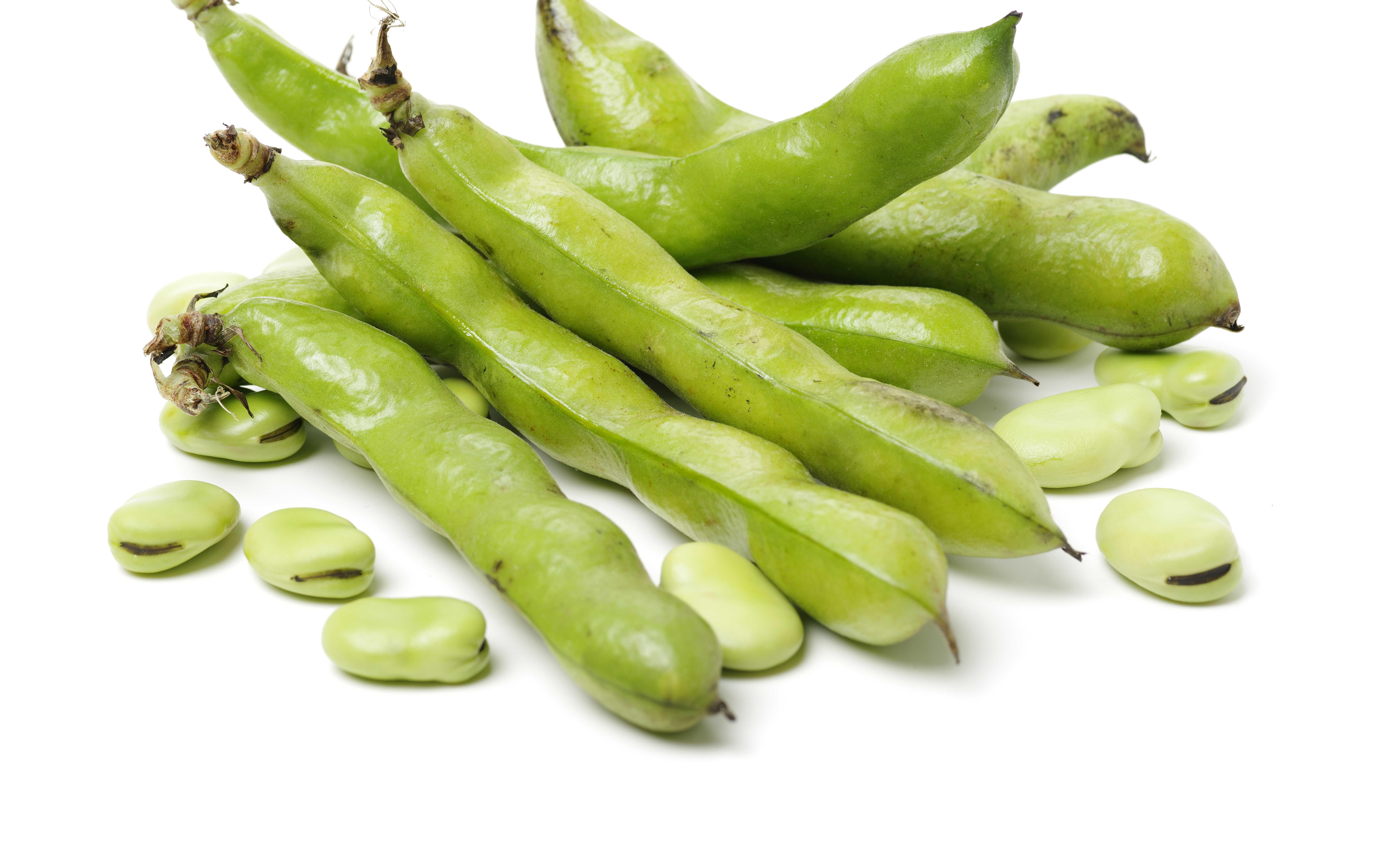 Produce | Peakopia Produce