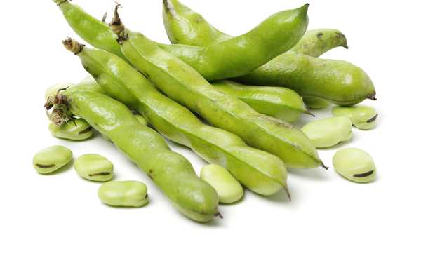 Produce | Peakopia Produce